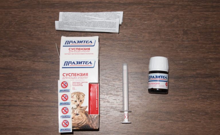Мильбемакс для кошек: инструкция по применению, аналоги, побочные эффекты