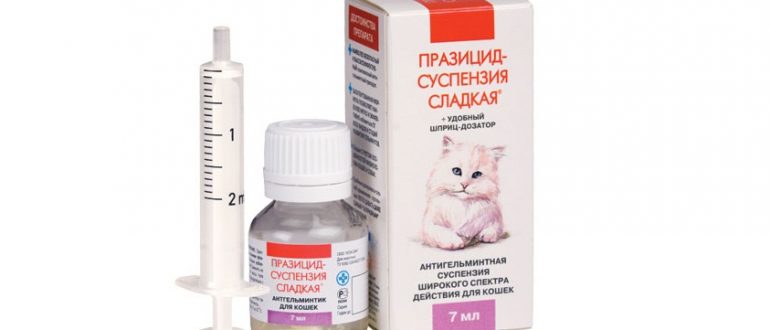 Физраствор для кошек: инструкция по применению