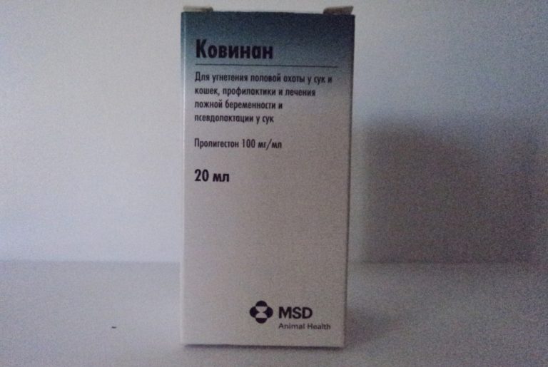 Контрацептивы для кошек: таблетки, иньекции, капли